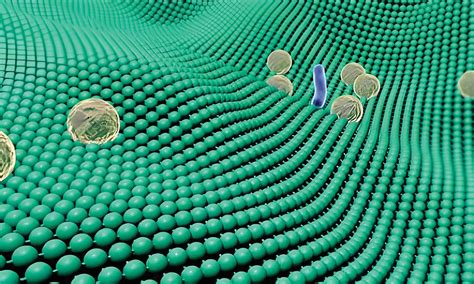 What Are Antibacterial Fabrics Antimicrobial Fabric Has Undergone By قتيبة الباشا Medium