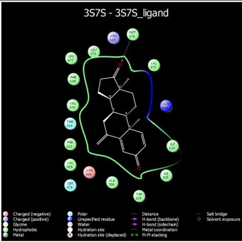 Interaction Of Exemestane With Aromatase Enzyme Download Scientific