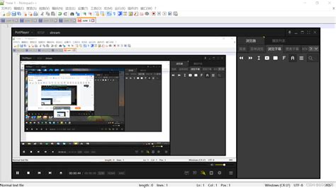 windows环境下视频文件转成rtsp视频流和rtmp流 potplayer文件转rtsp csdn博客