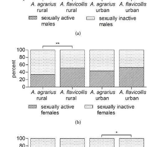 Striped Field Mouse Apodemus Agrarius Photo By Fibro Distributed Download Scientific