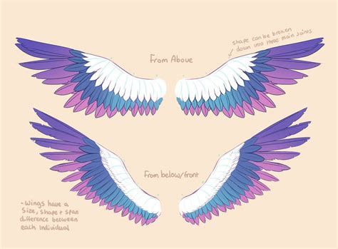 Mlp Wings Base At Gandaisyblog Blog