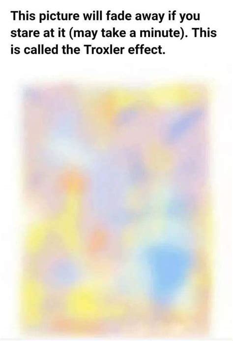 Troxler Effect Rinterestingasfuck