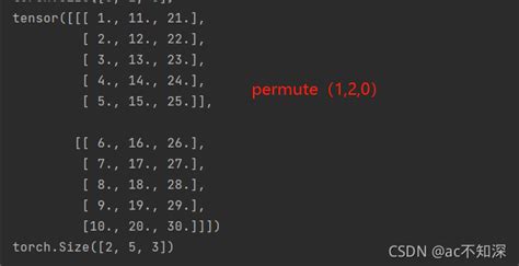 Pytorch中permute函数用法实例详解python脚本之家