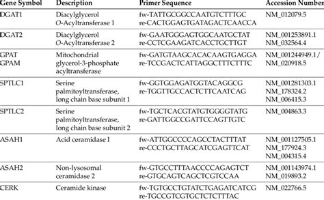Details Of Mrna Primer Sequences Download Table