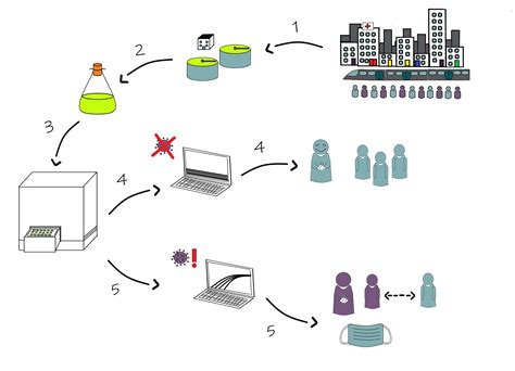 SARS CoV Wastewater Data From Cities Across Sweden Now Available The Swedish Pathogens Portal