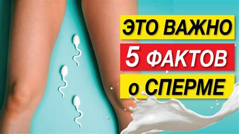 А ТЫ ЗНАЛ 5 ФАКТОВ О СПЕРМЕ Как сделать сперму вкусной Ммм Youtube