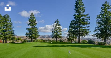 깃발과 나무가 있는 녹색 골프 코스 사진 Unsplash의 무료 댄빌 이미지