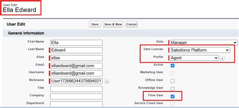 Flow User Checkbox Vs Run Flows In Salesforce Bijay Kumar
