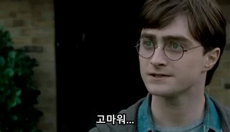 영화 해리포터 삭제장면 인스티즈 Instiz 이슈 카테고리