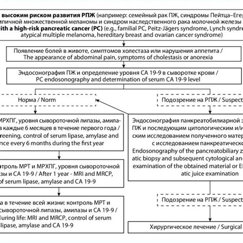 Algorithm Of Actions When Pancreatic Cancer Is Suspected Download