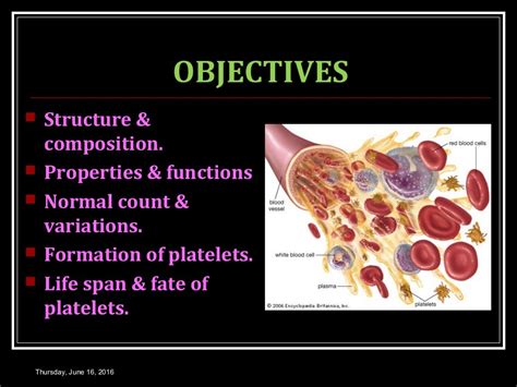 Platelets Definition