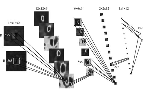 Defect Detection Classification At Raymond Eudy Blog