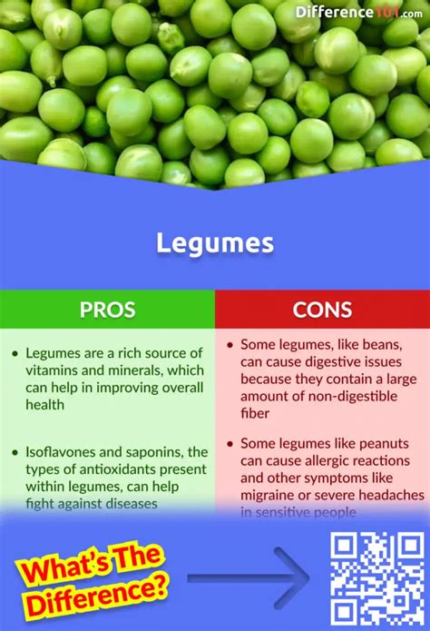 Legumes Vs Lentils Key Differences Pros Cons Examples Difference