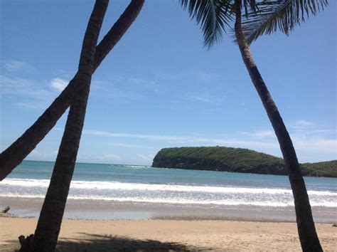 La Sagesse Hotel Restaurant And Beach Bar Content Updated Prices 2026