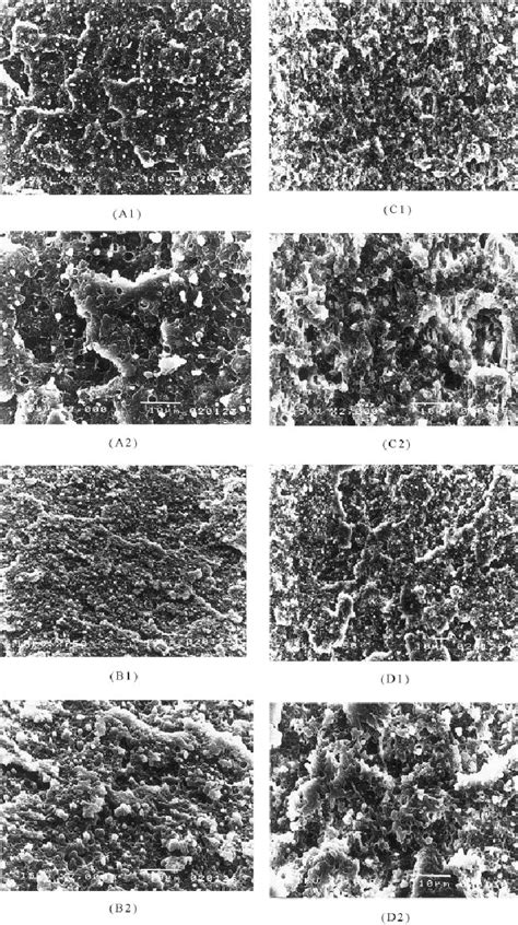 Sem Micrographs Revealing The Appearance Of The Fracture Surfaces Of