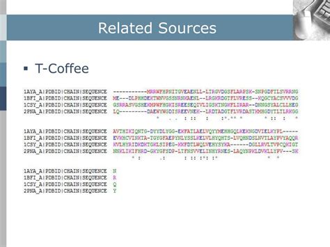 Ppt Clustal W And Clustal X Version 20 Powerpoint Presentation Free