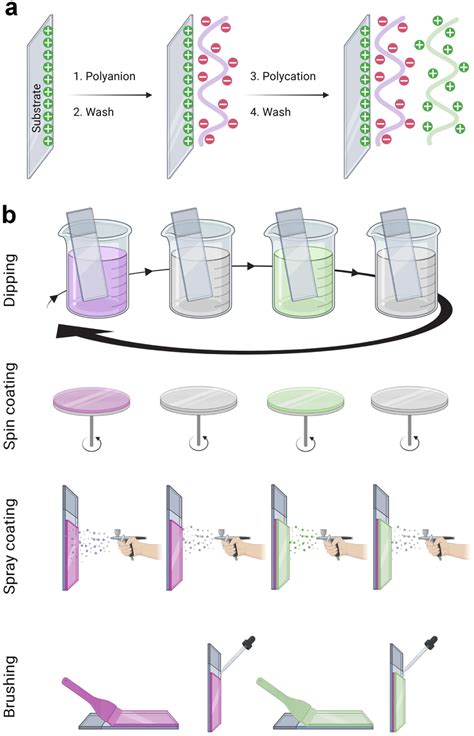Layer By Layer Lbl Method And Different Processes Of Build Up A Download Scientific