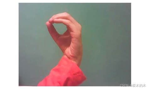 极市平台 手部动作识别相关开源数据集汇总手语数字数据集 Csdn博客