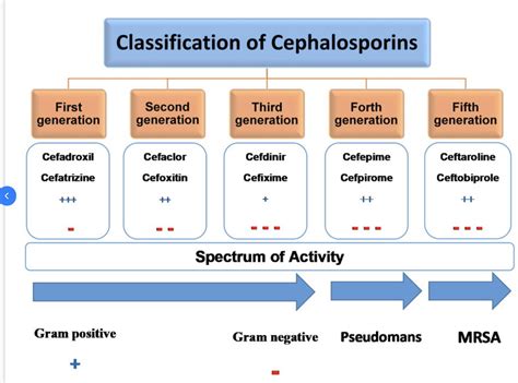 Guide To Cephalosporins Opra Essential Academically Global