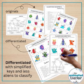 Dichotomous Keys Worksheets Science Numbered And Branched TPT