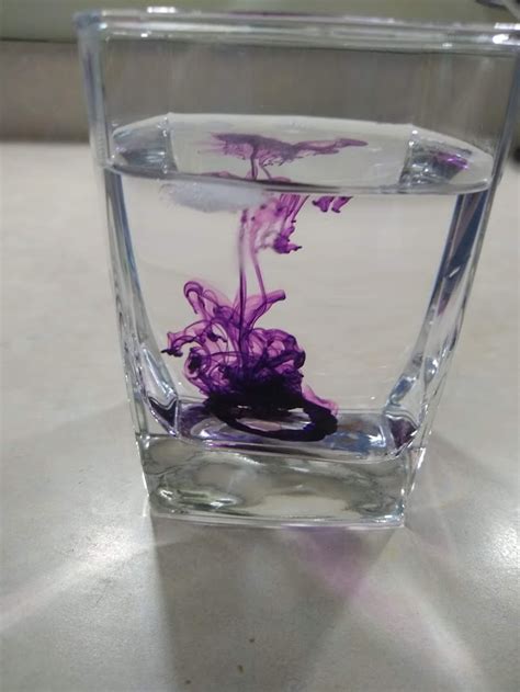 Food Dye Experiment Evelyn J Boettcher