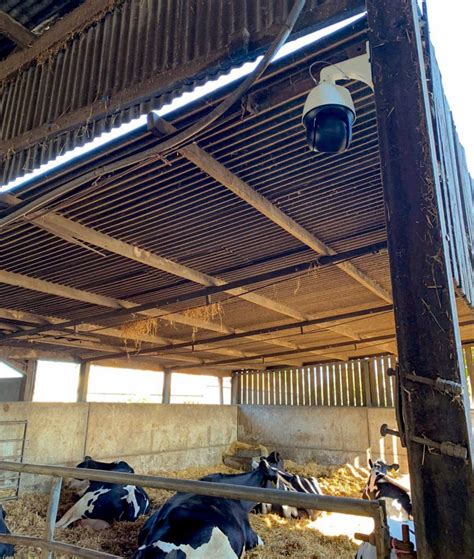 Livestock Monitoring West Country Tech