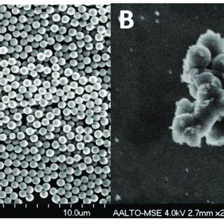 SEM Images Showing A The Spherical Pristine SiO Particles And B Download Scientific