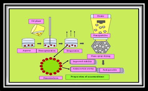 The Methods Of Preparation Of Nanoemulsion Powders Download Scientific Diagram