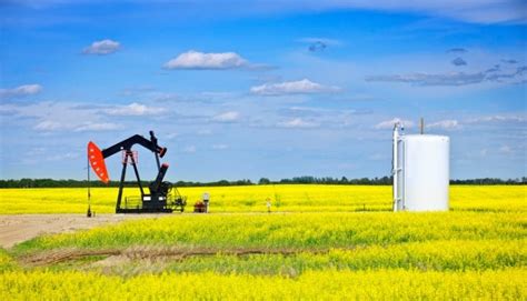 Pretty Treating Plots Dont Necessarily Mean Pretty Production