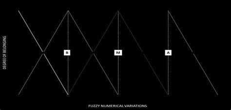 Represents A Fuzzy Set Graph Where The Vertical Axis Y Represents The Download Scientific