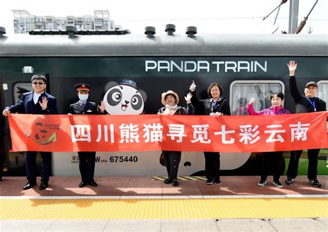 今年成都首次跨省开行 熊猫专列” 一路向南开启云南7天之旅 封面新闻