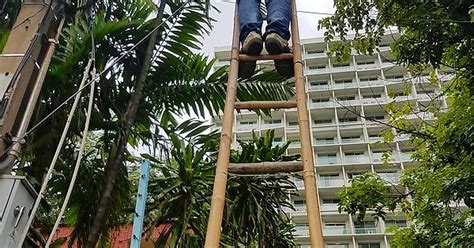 Bamboo Album On Imgur