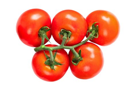 Tomatoes Vine Png