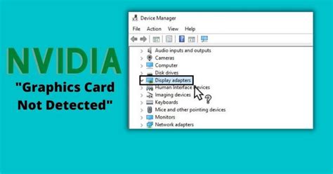 nvidia graphics card not detected in windows 10 easy fix graphic