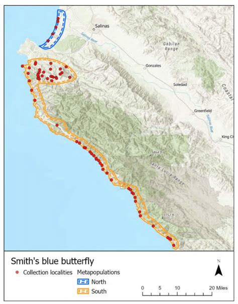 Why Saving The Smiths Blue Butterfly Helps Protect Californias Coast