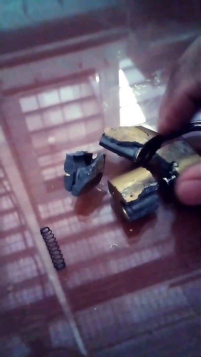 ඉබ්බගෙ ඇතුලෙ මොනවද තියෙන්නෙ බලමුද Youtube