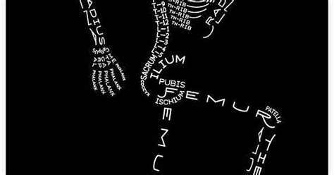 For You Visual Learners Imgur