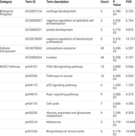 Go Function And Kegg Pathway Analysis Of 192 Common Degs Download Scientific Diagram