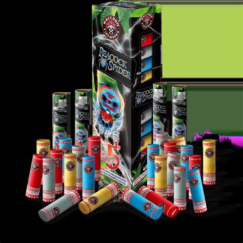 5 Peacock Spider 24s Backyard Pyro