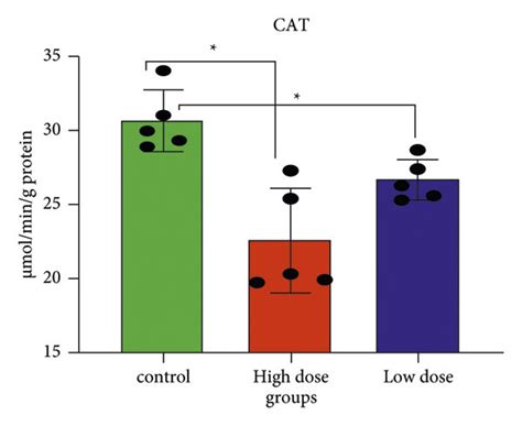 Catalase Levels In Rat Brain Tissues After 28 Days Of Oral Imi Download Scientific Diagram