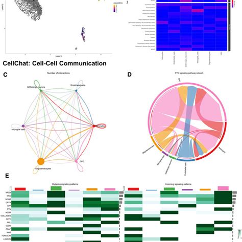 Additional Gene Network Analysis Tools Available In Icarus V2 0 Single Download Scientific