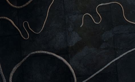 I Think Characters Should Have Sex While Hating Every Second Of It And Not In The Way Of Them