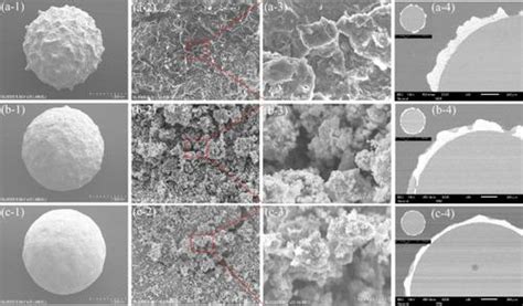 Tio2 光催化剂涂层对 Sars Cov 2 的灭活和光催化降解 Scientific Reports X Mol