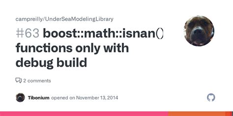 Boost Math Isnan Functions Only With Debug Build Issue Campreilly