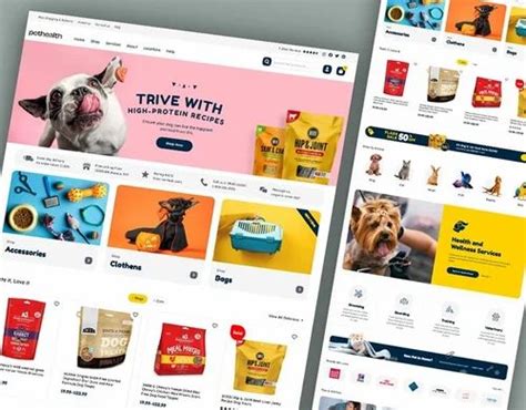 dynamic web design services for ecommerce website at rs 11999 in