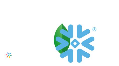 Snowflake Todate Data Transformation Hevo