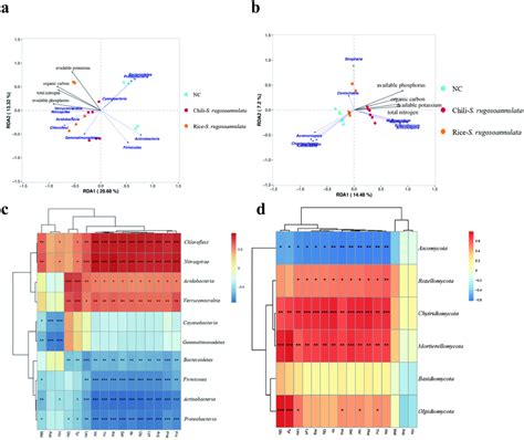rda analysis and correlation analysis of bacteria and fungi at the