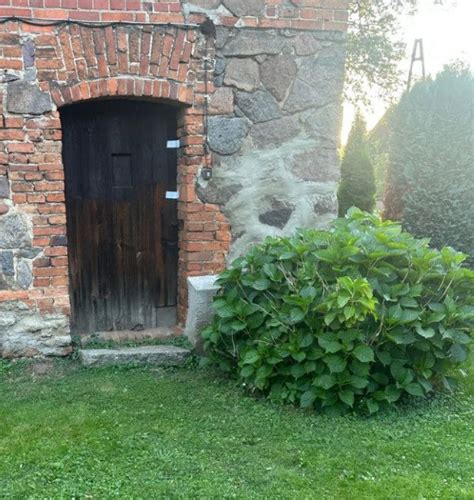 Woman ‘kept As Sex Slave By Polands Josef Fritzl Had Her Lips And Teeth Removed News World