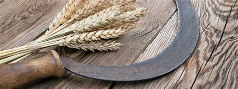 Evicel Surgery Uses Side Effects Dosage