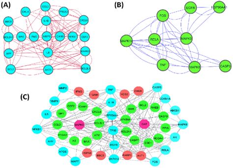 Module Analysis Of The Ppi Network A Module 1 Had 19 Nodes With 99 Download Scientific